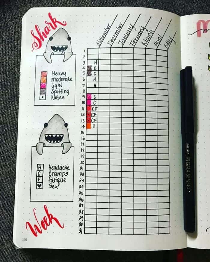 15 Amazing Habit Tracker Bullet Journal Ideas You Can Steal